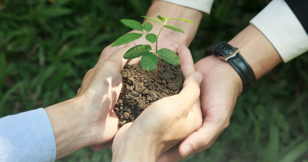 23 Fun Earth Day Ideas for Work | Corporate Earth Day Ideas | How to ...